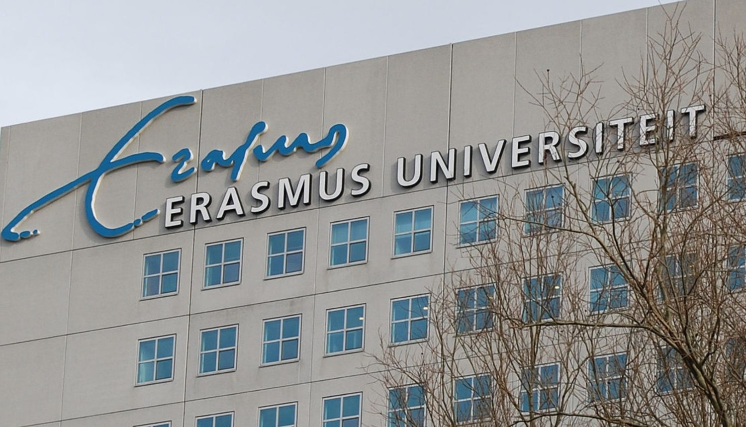 Erasmus University 2023 Fully Funded Management Scholarships